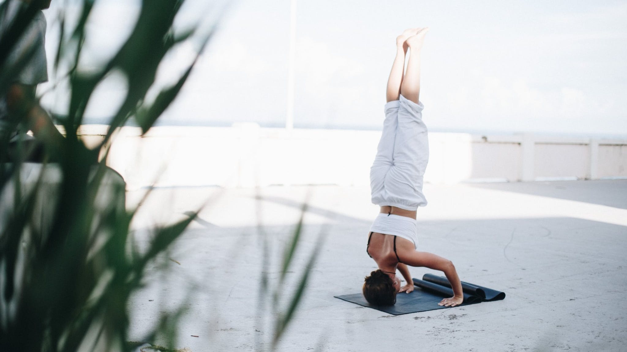 The Bend and Sip Bar | Creative South