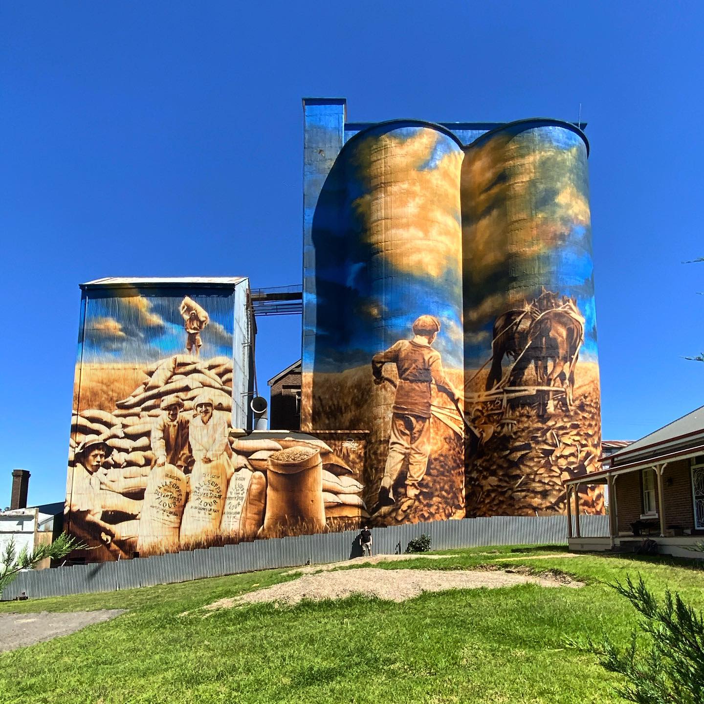 Harden Murrumburrah Mill Silo Art : Creative South